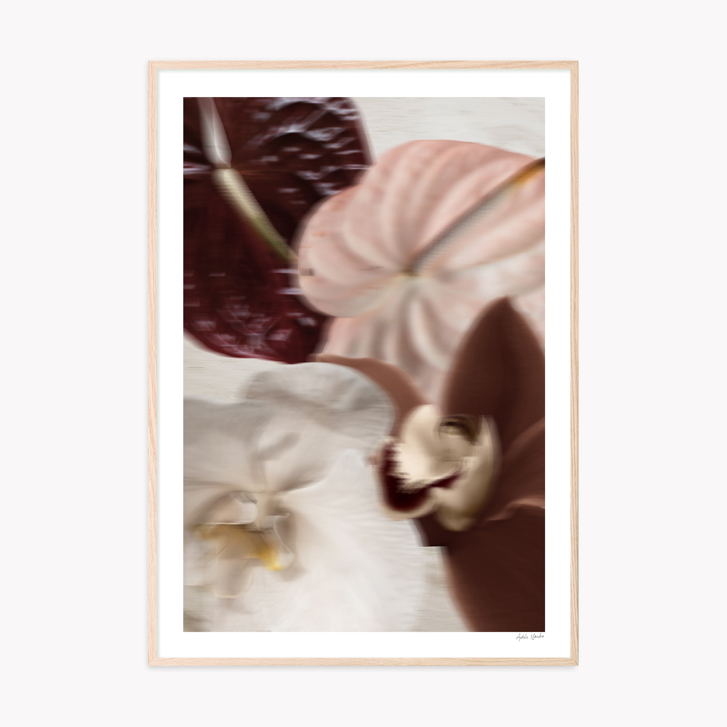 Muse – Adele Naidoo