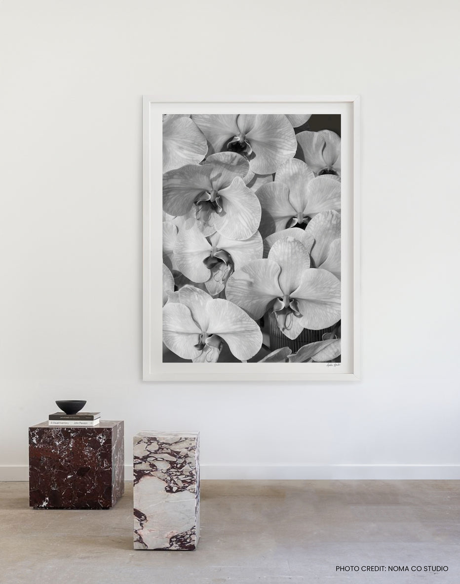 Orchid Study 2 - B&W – Adele Naidoo
