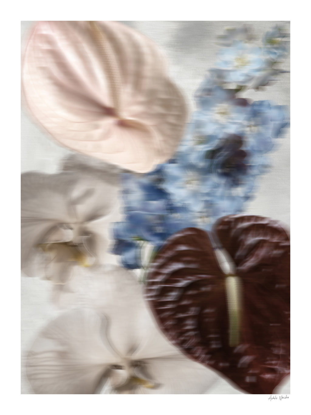 Reverie – Adele Naidoo