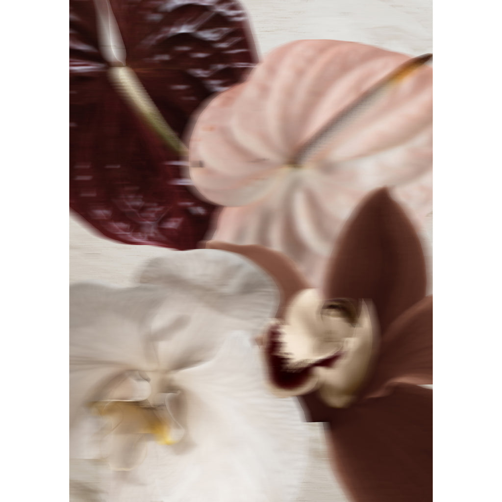 Muse – Adele Naidoo