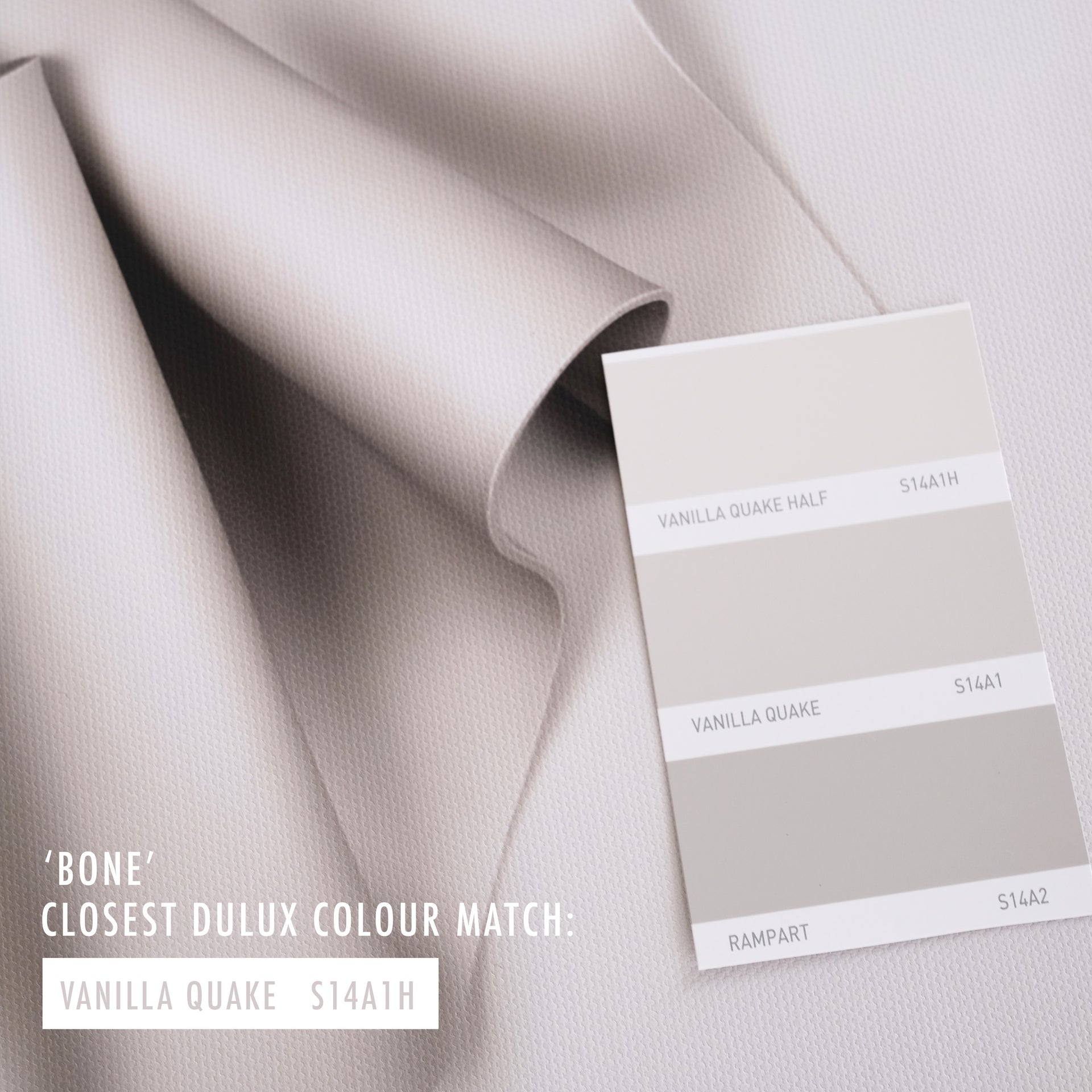 Petal - Bone – Adele Naidoo