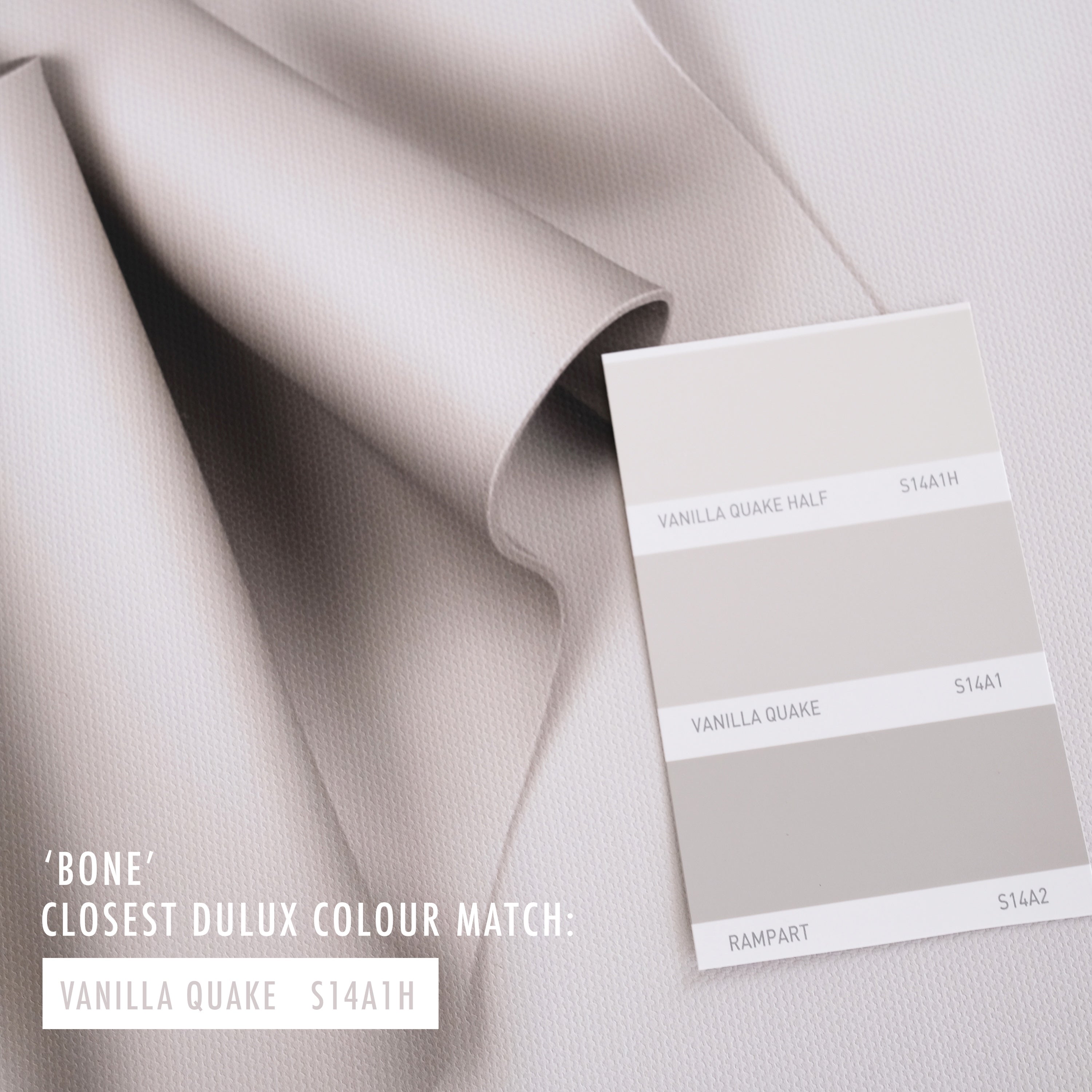 Petal - Bone – Adele Naidoo